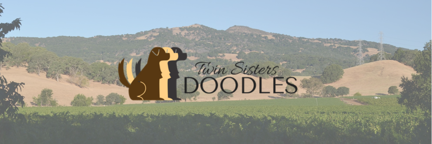 Colors and patterns – Twin Sisters Doodles